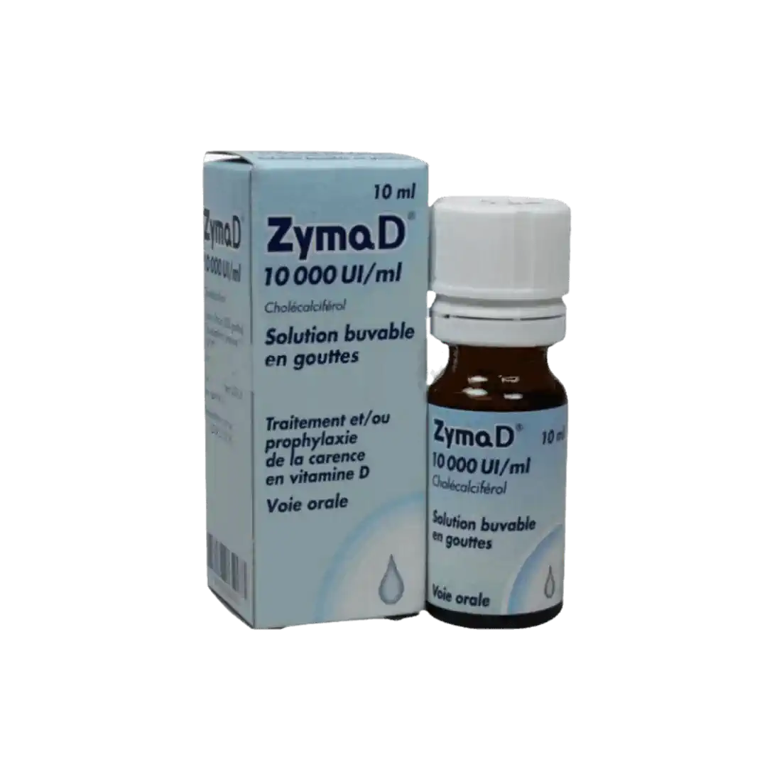 LA VITAMINE D | LA FAMILLE TORTUE